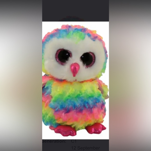 Ty | Toys | Beanie Boos Ty Owen Rainbow Owl Medium | Poshmark
